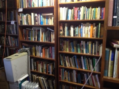 Sorting the library | Jerusalem Mortimer: Between the Lines